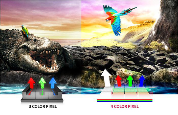 4 Color Pixel trên TV LG là gì?